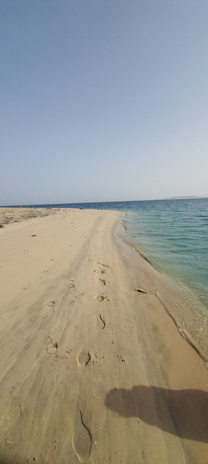 Desert Safari Tour - Qatar by Discover Doha - Discover Doha